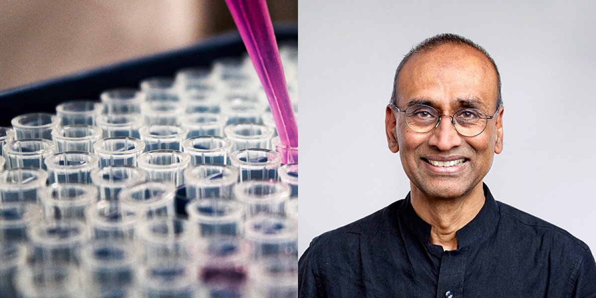 Paris - Gene Machine: The race for the structure of the ribosome — a ...